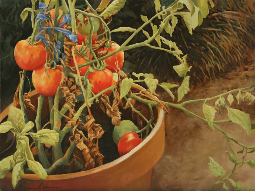 Still Life — Kevin H. Adams