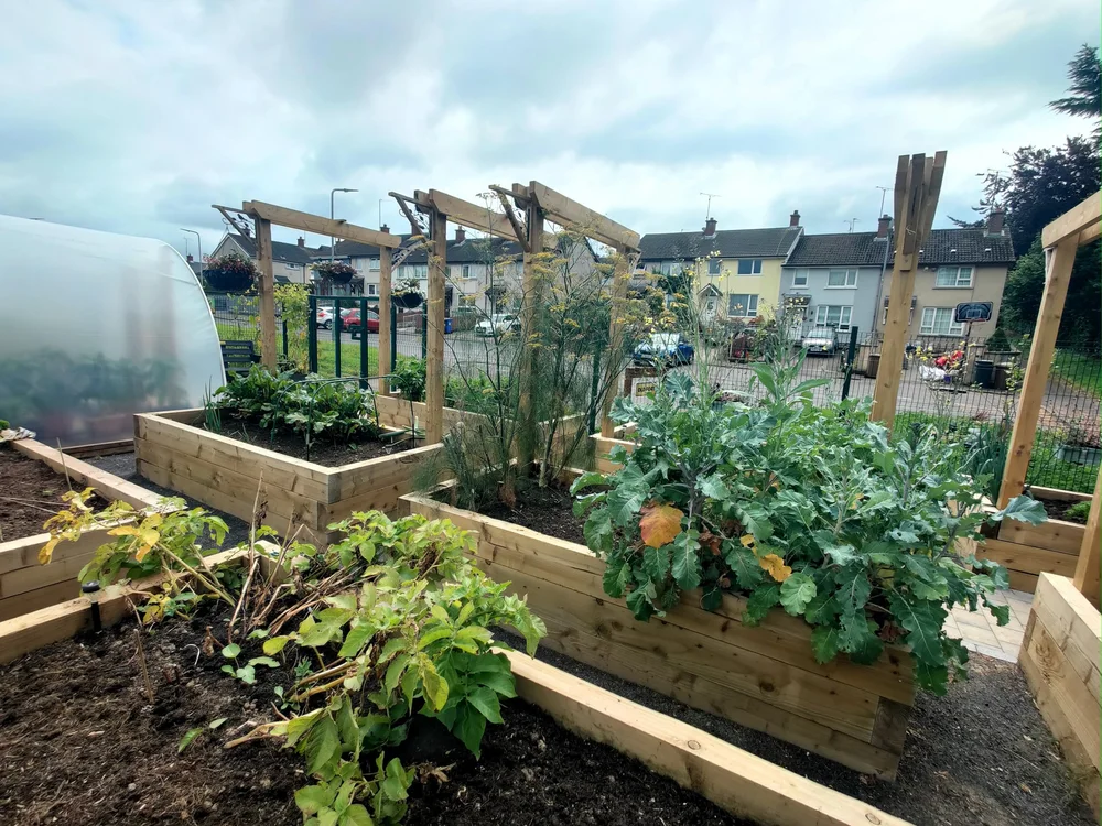 An Emotional Homecoming: My Return to Shandon Park — Supporting Communities