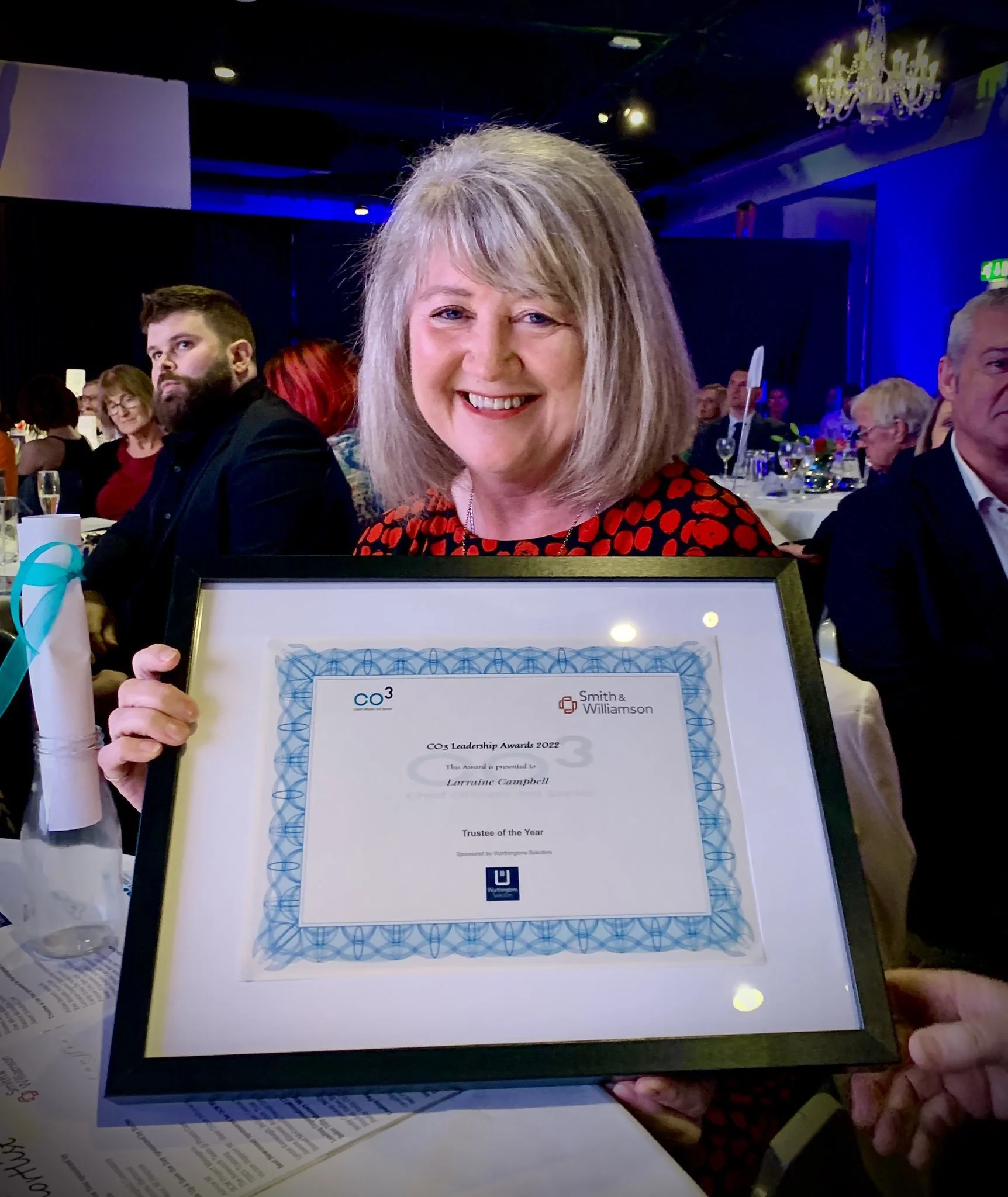 Celebrating Success: SC Staff and Board Achieve Recognition ...