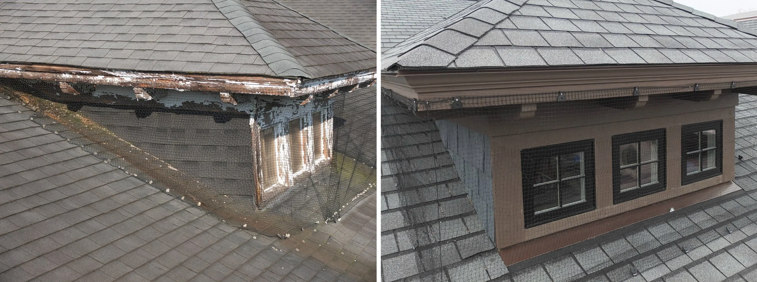 41 Bank Street Roof Replacement, Dormer Reconstruction & Repairs ...