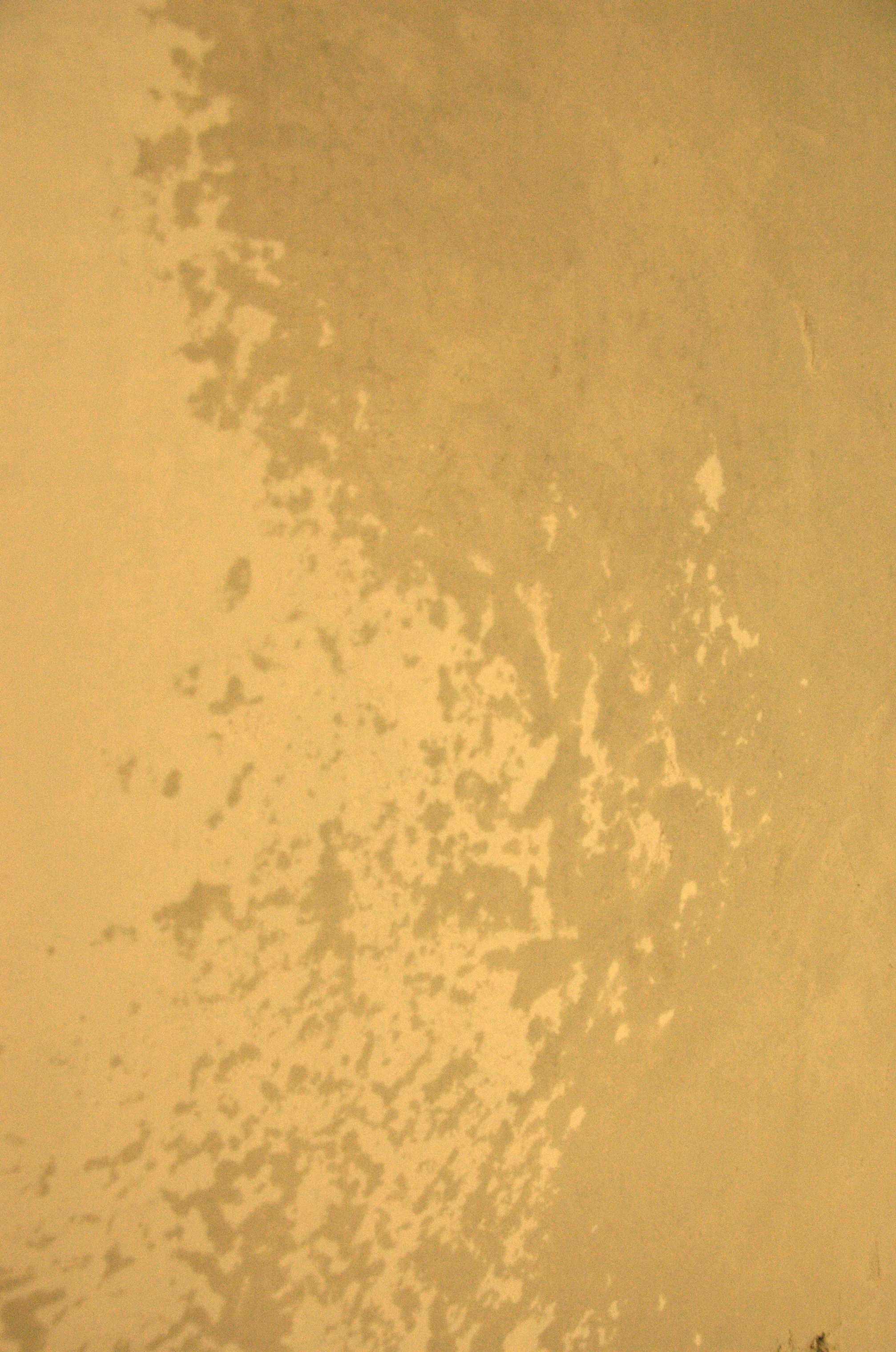 Palette — The Art of Plaster