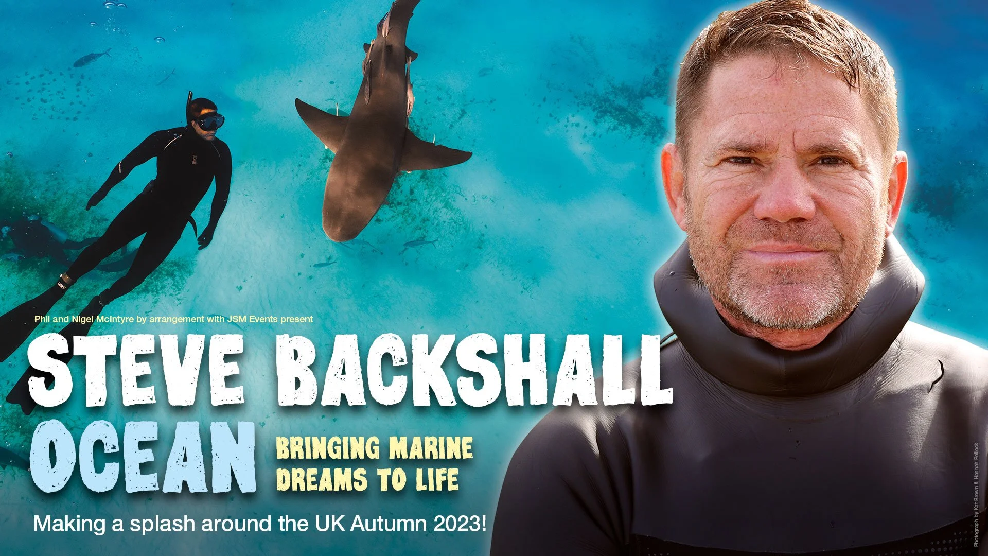 Live Shows — STEVE BACKSHALL