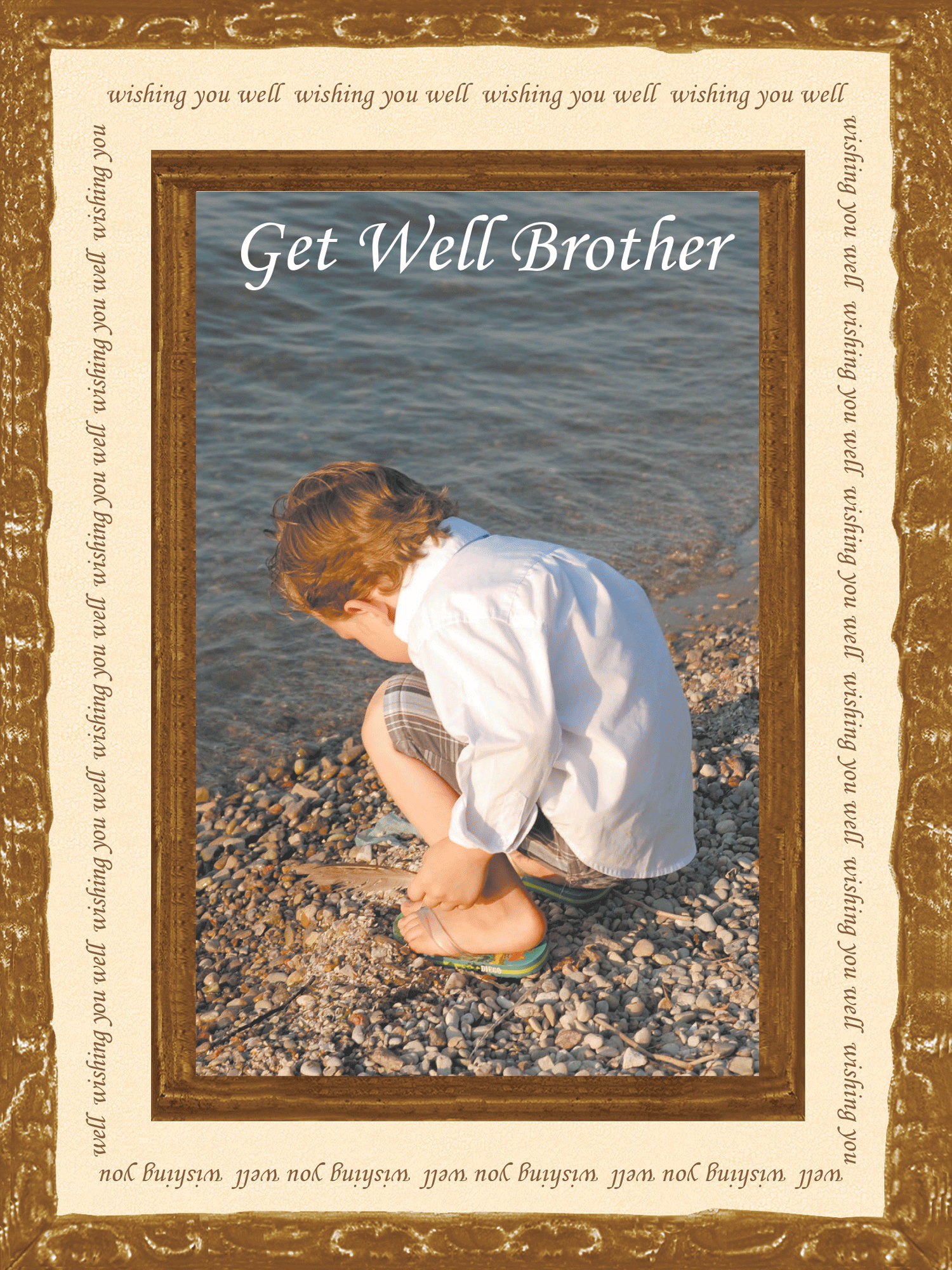 Collection, Buy Online Printed Products