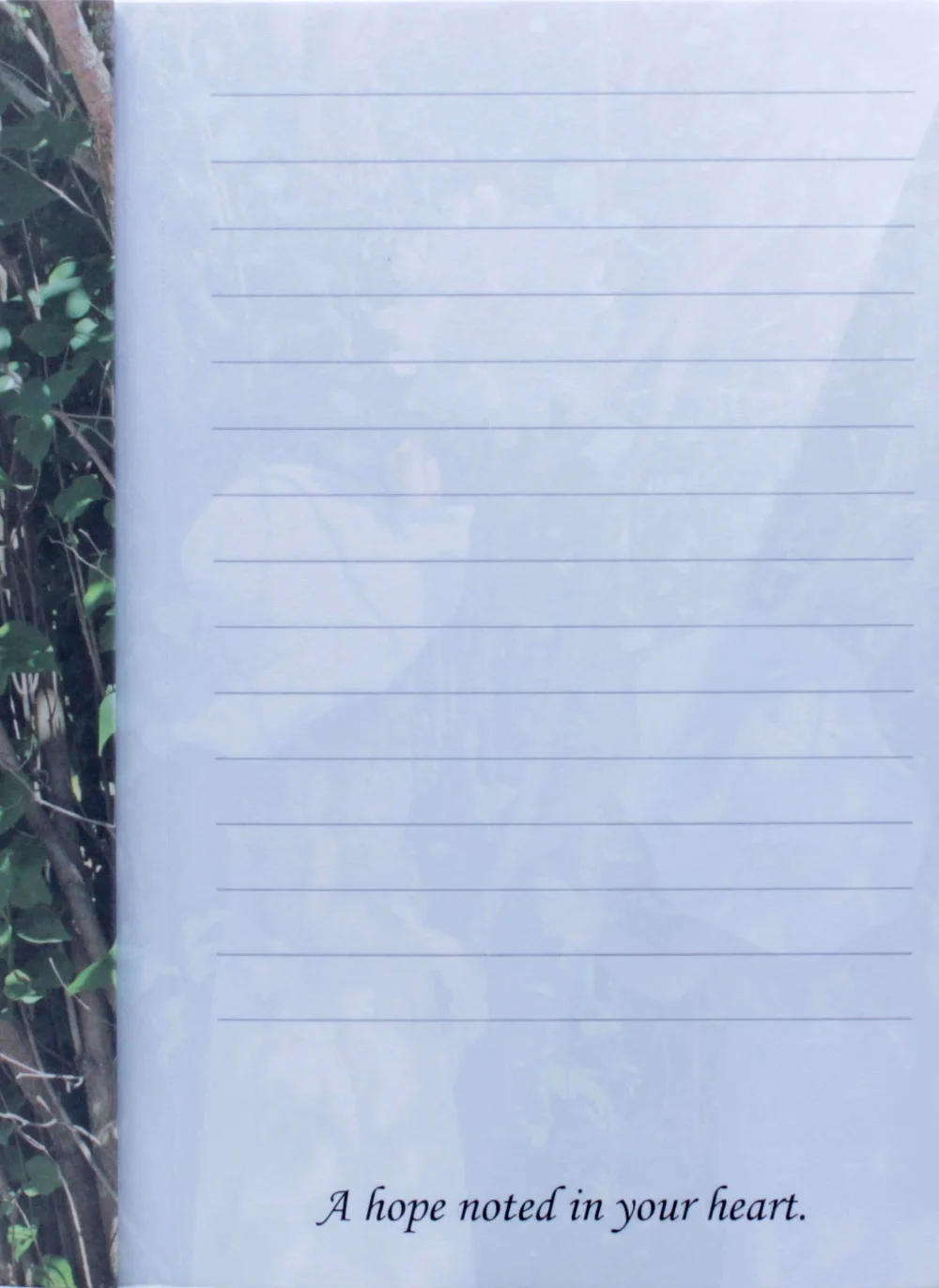 Collection, Buy Online Printed Products