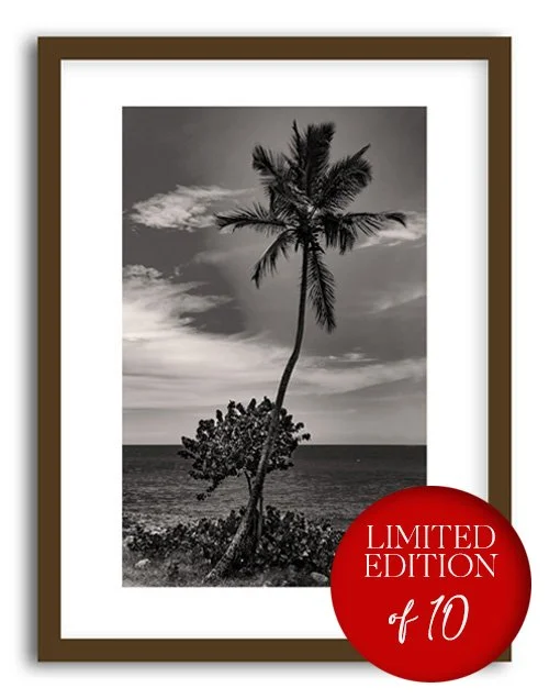 NYC Limited Edition | Contemporary Photography New York City | New York ...