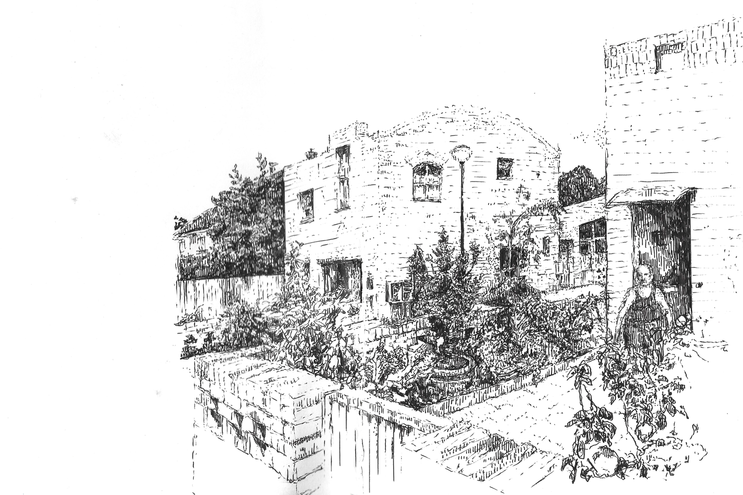 Harvey Gardens — Peter Barber Architects