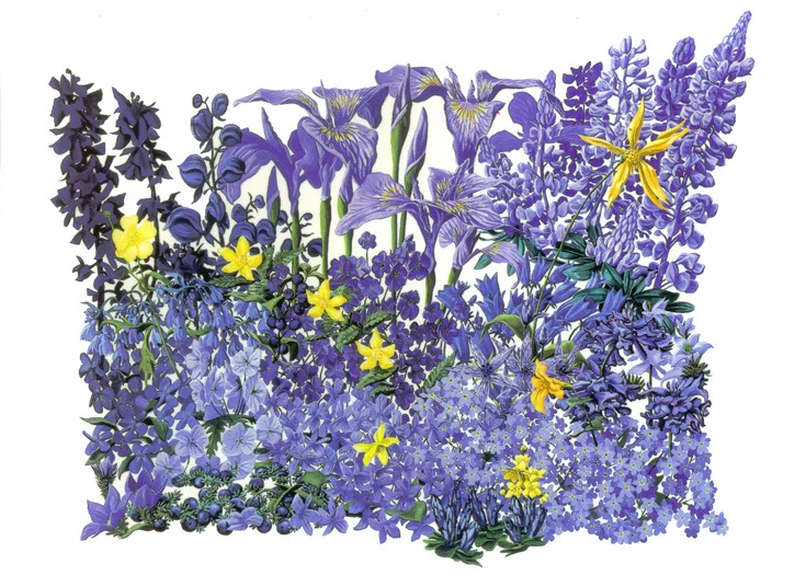 BRUCE NELSON — Wild Spruce Art Works