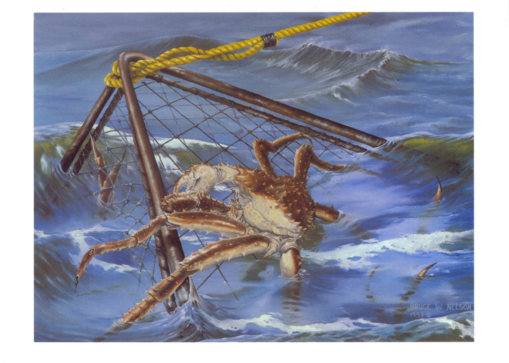 BRUCE NELSON — Wild Spruce Art Works