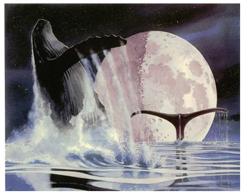 JOHN SVENSON — Wild Spruce Art Works