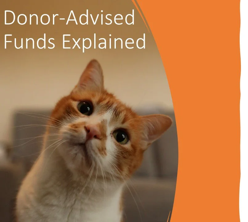 Donor-Advised Funds Explained — Feral Cat Coalition of Oregon
