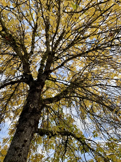 The Power of Breath: Nasal Breathing for Stress Relief, Performance, and Better Health — SPEARS ...