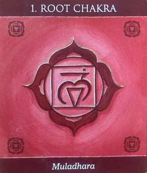 Exploring the Root Chakra — Held In The Heart