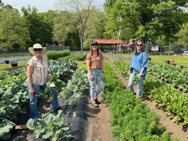 Workshops | Farmbelly