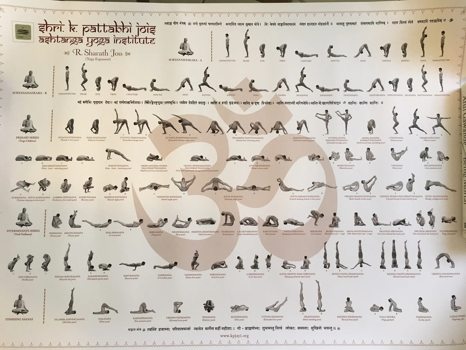 Mysore Ashtanga Yoga Retreats — The Spiritual Yoga School