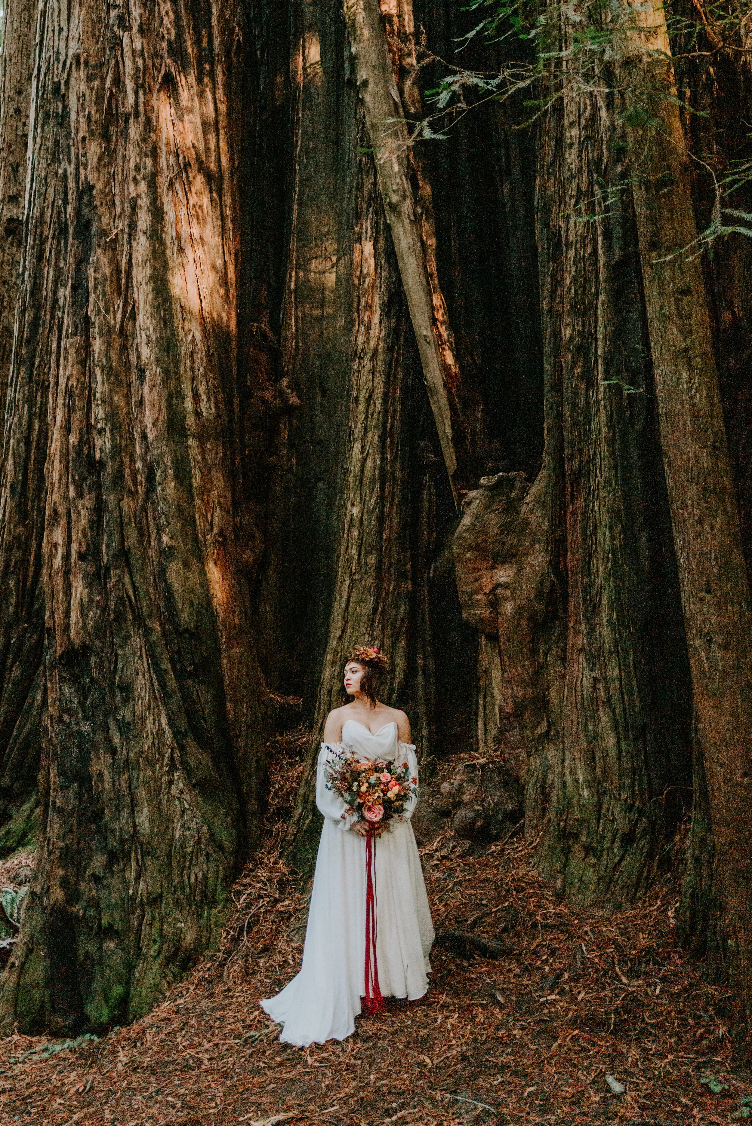 Redwood Forest Wedding Elopement and Portrait Photography — HAZEL EYE ...