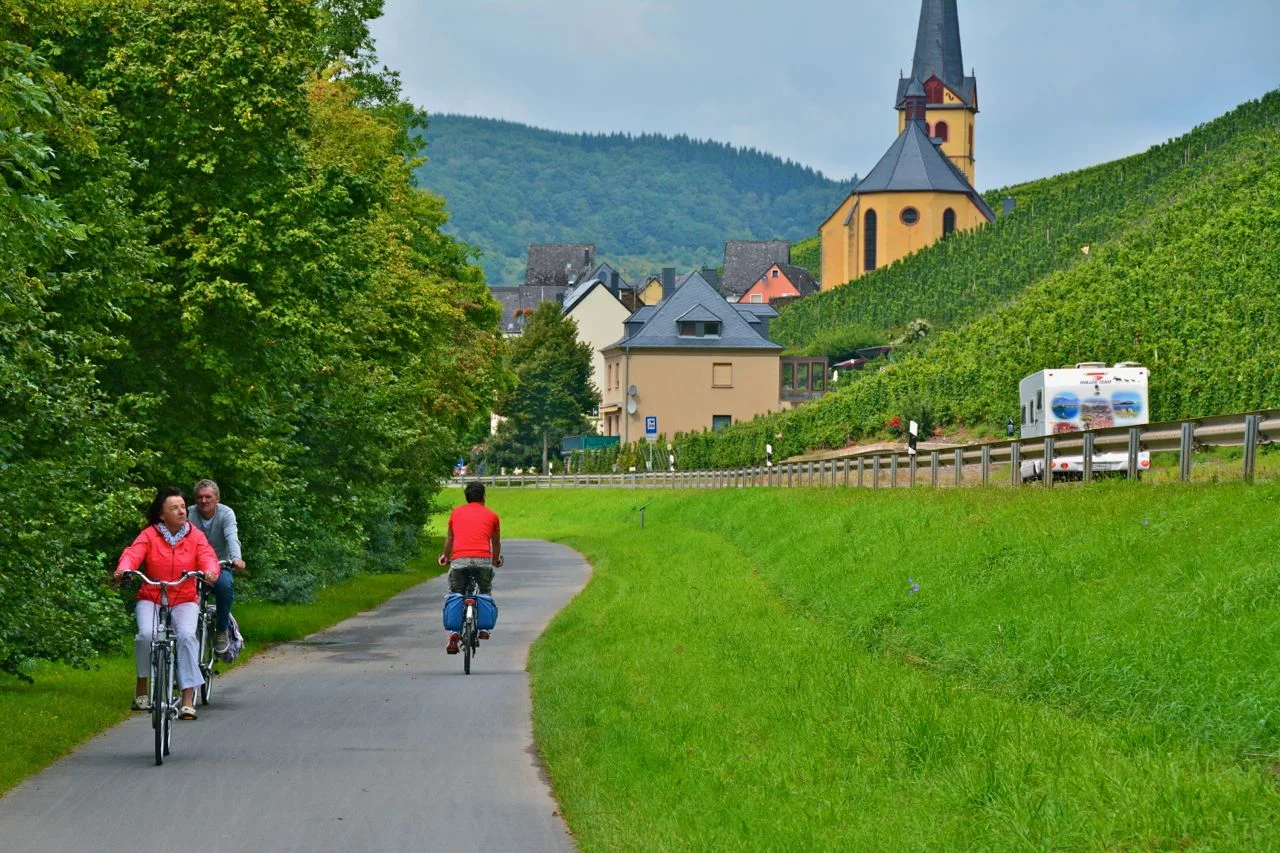 Cykla bland vinodlingar i Moseldalen 6 dagar | Loca France