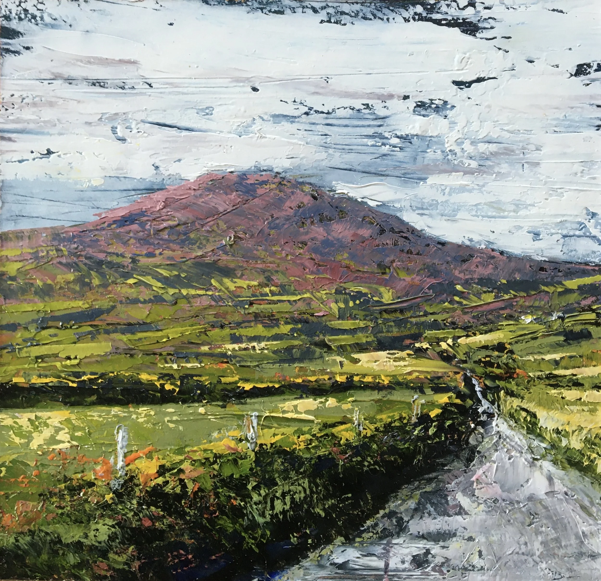 donagh carey - Rural West Cork