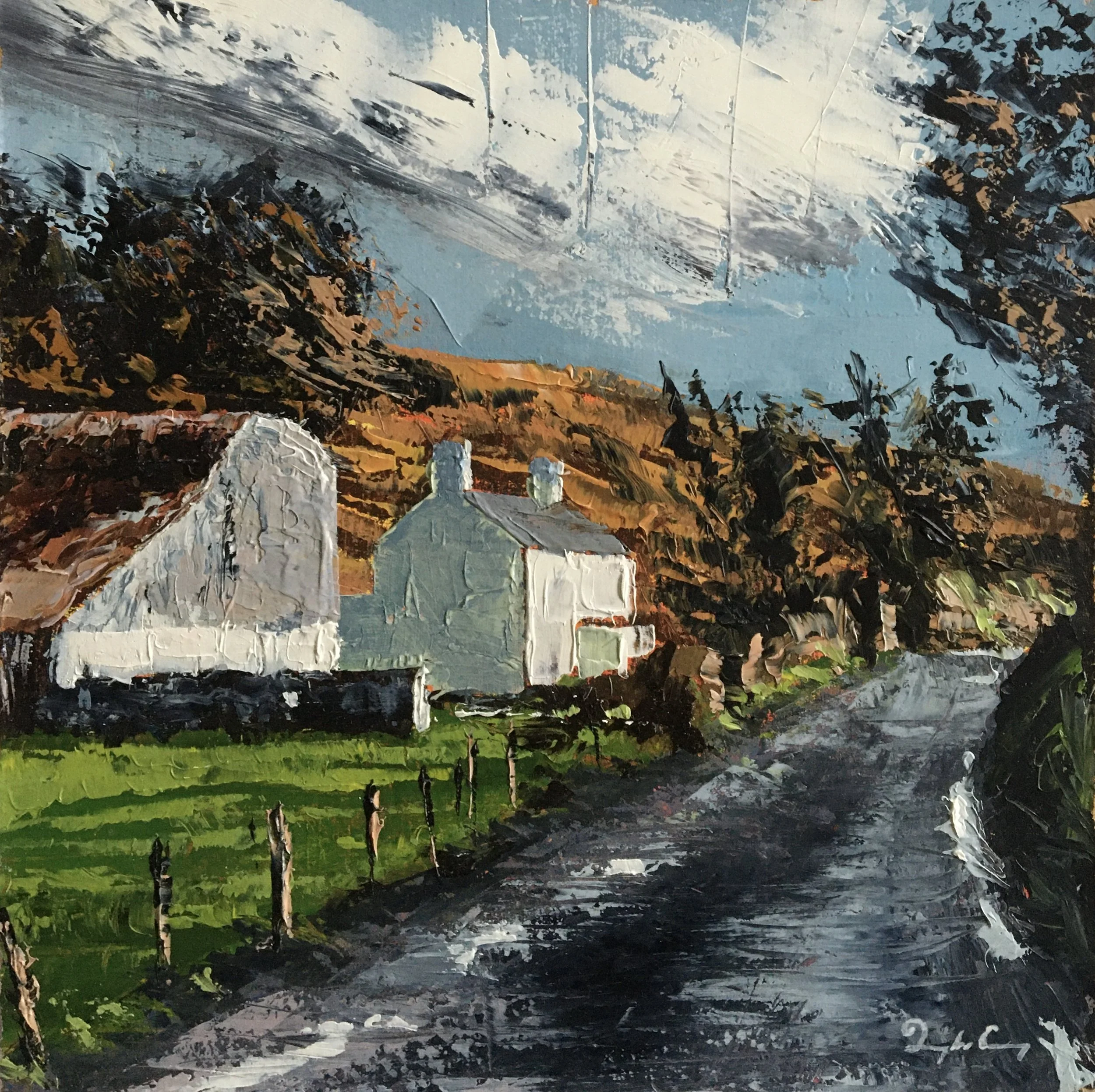 donagh carey - Rural West Cork