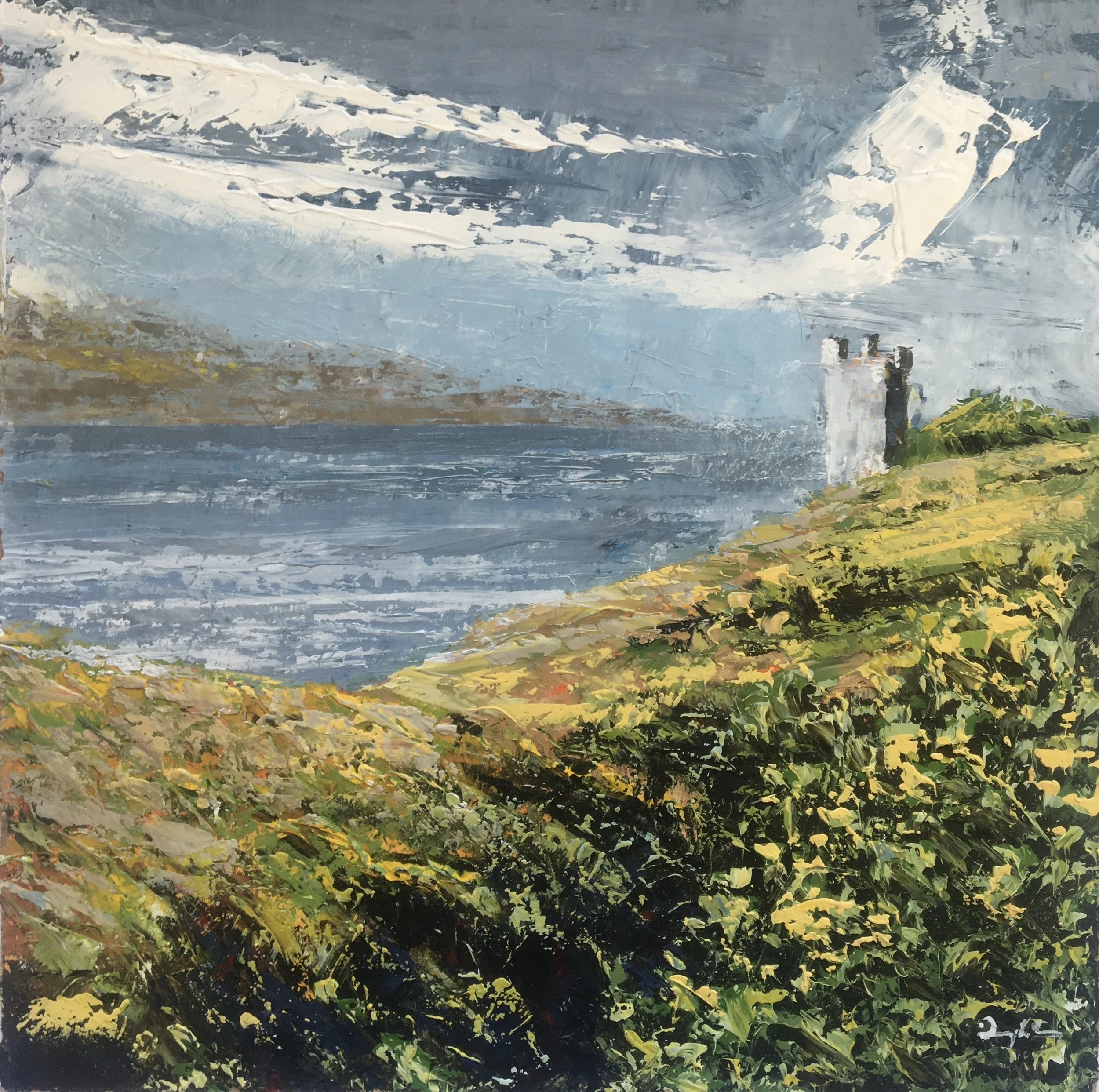 donagh carey - Rural West Cork