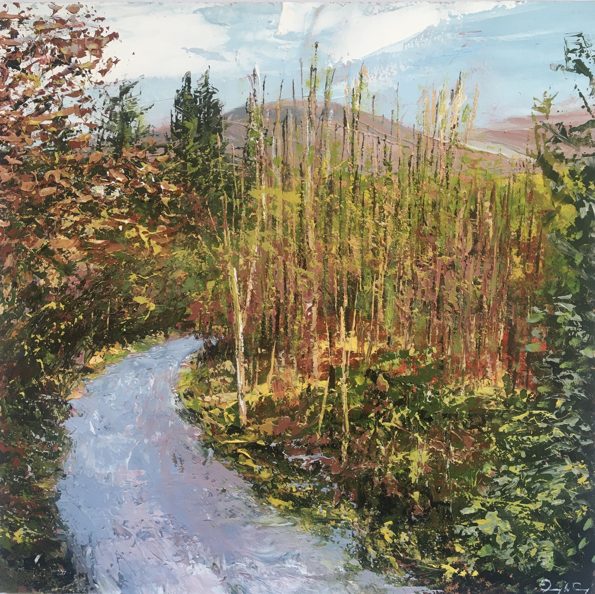 donagh carey - Rural West Cork