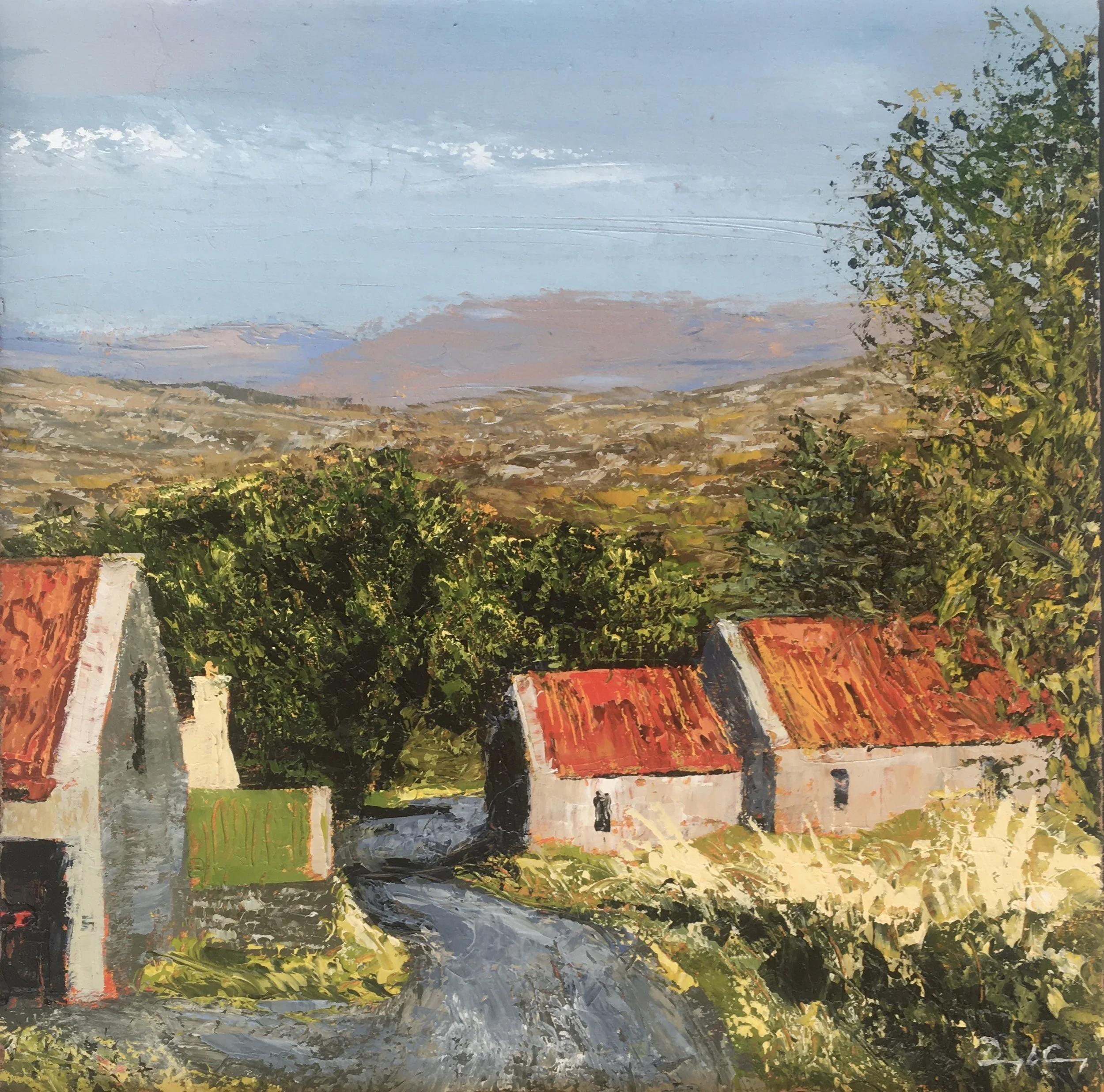 donagh carey - Rural West Cork