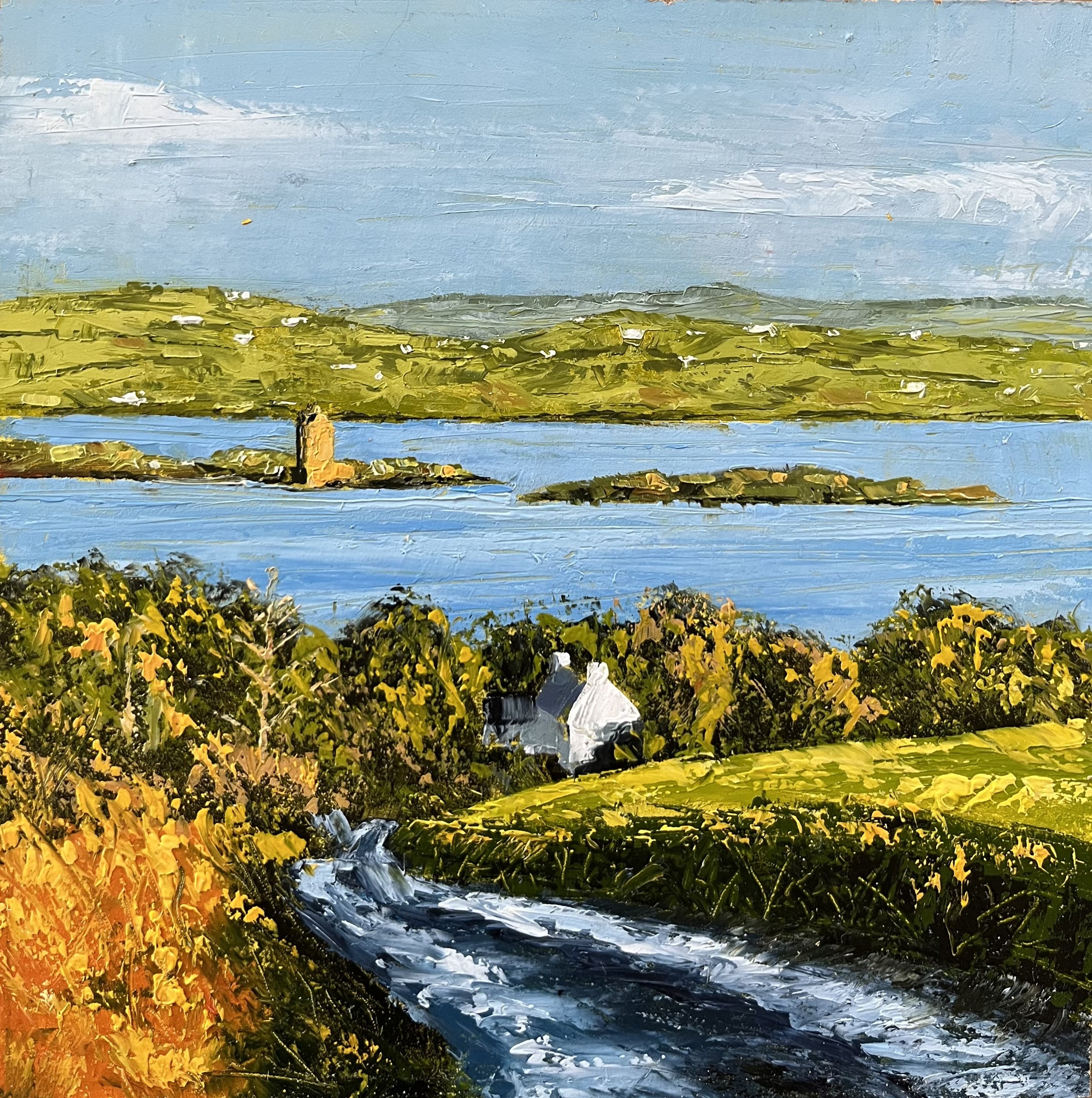 donagh carey - Rural West Cork