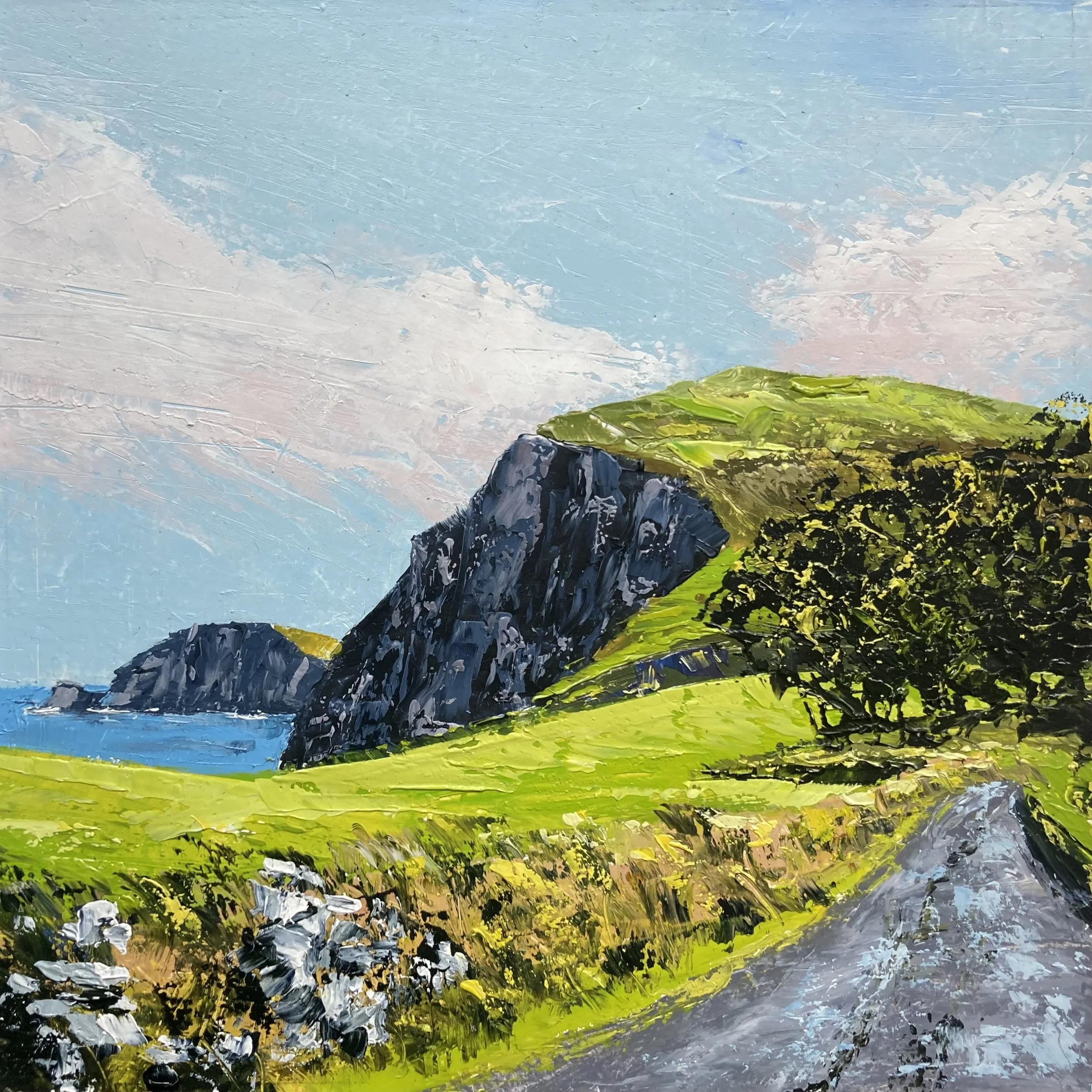 donagh carey - Rural West Cork