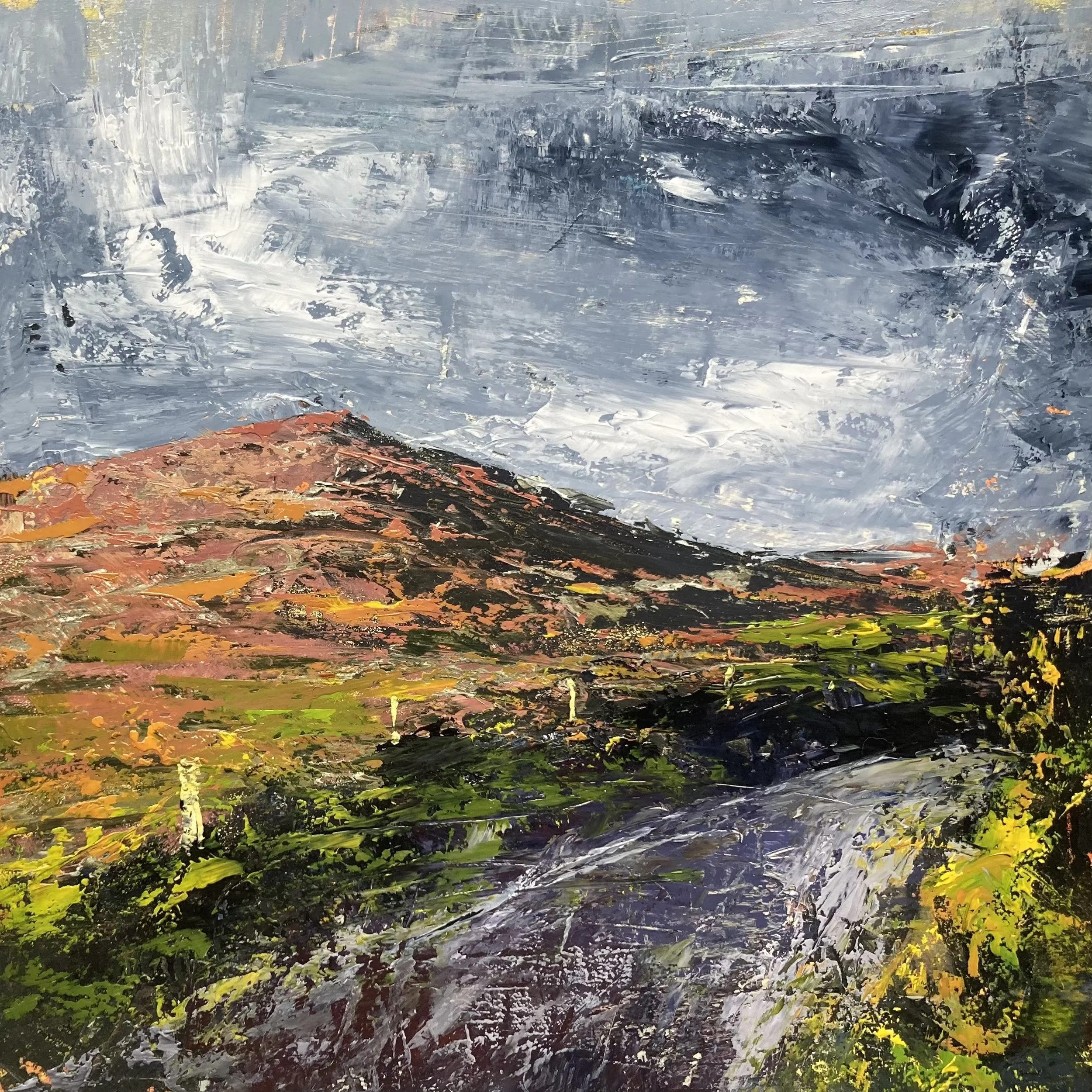 donagh carey - Rural West Cork