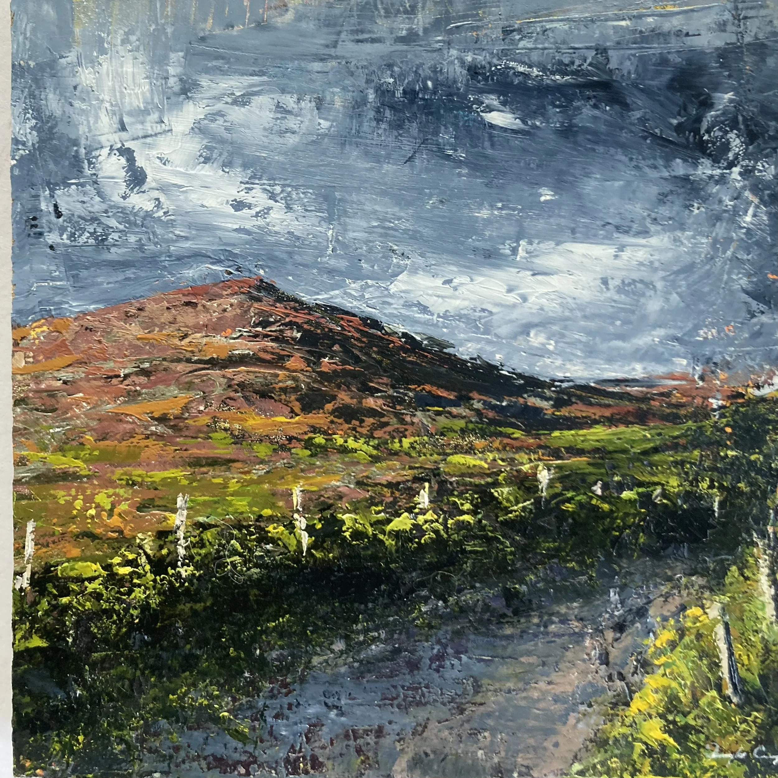 donagh carey - Rural West Cork