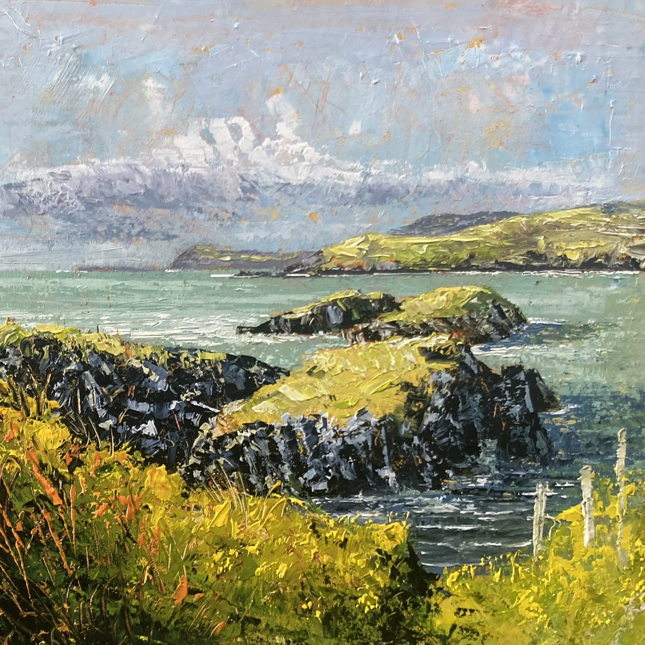 donagh carey - Rural West Cork