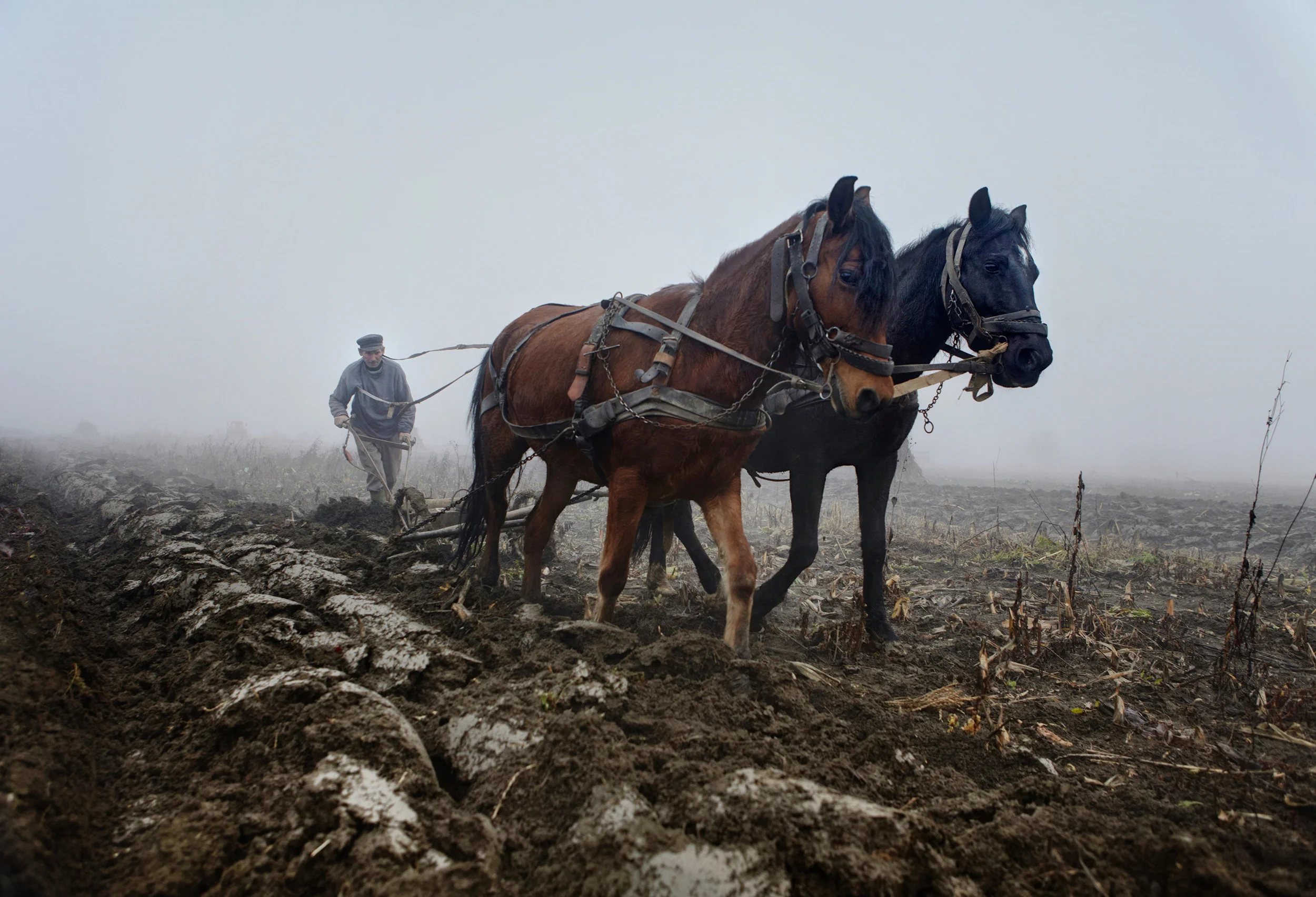 Romanian farmer in the fog — Mitchell Kanashkevich - Traditions ...