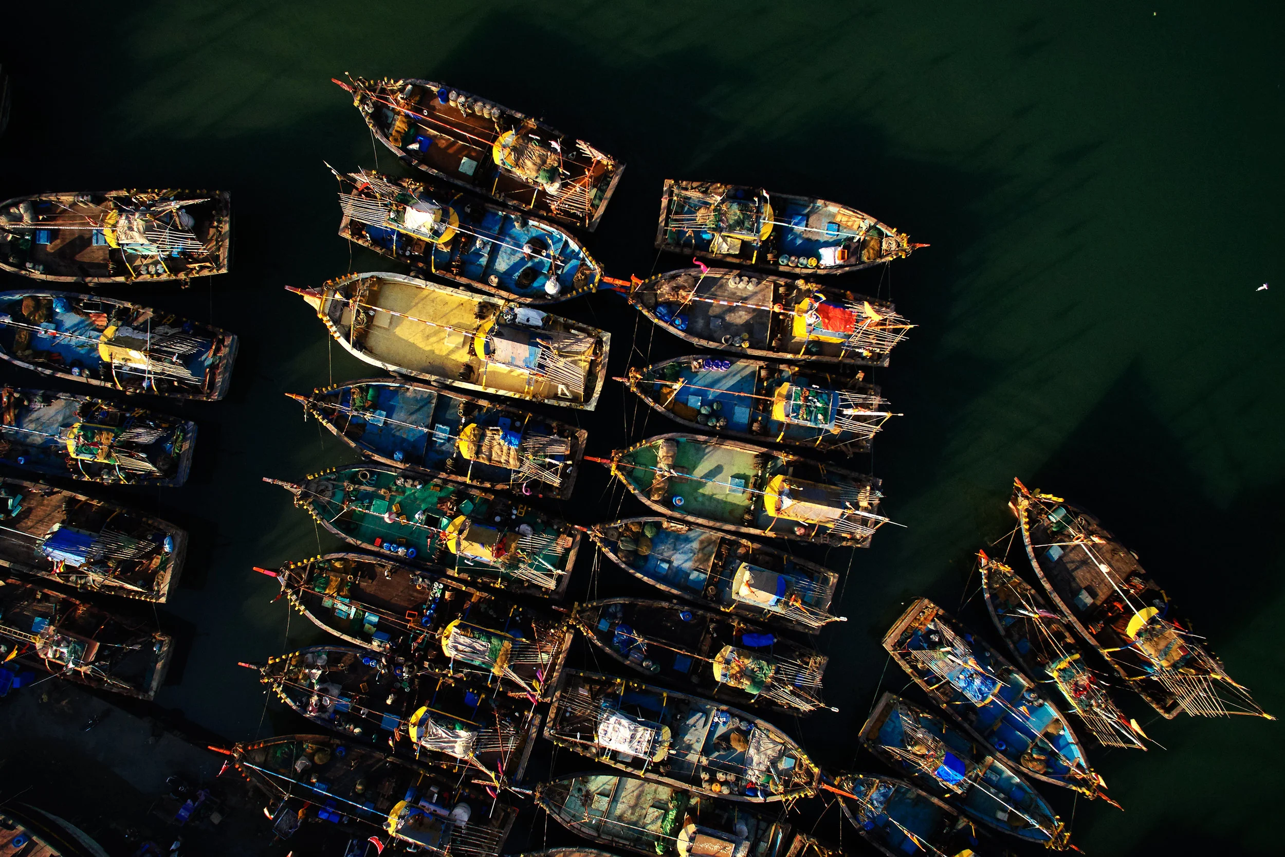 Fish dreams — Mitchell Kanashkevich - Traditions, culture, travel ...