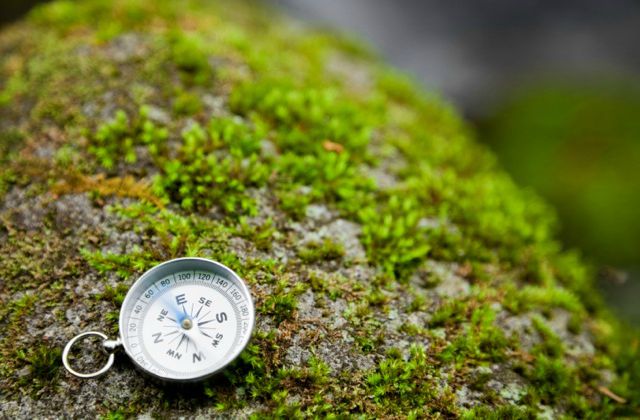 Eliciting Values In 3 Simple Steps — Mandala Mind