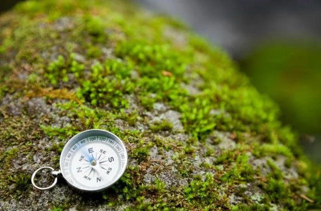 Eliciting Values In 3 Simple Steps — NICOLE KOCH