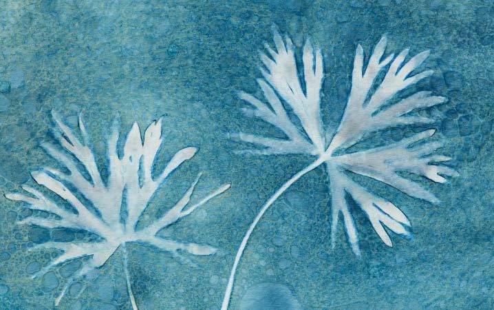 ONE DAY WORKSHOPS — Cottonwood Center for the Arts