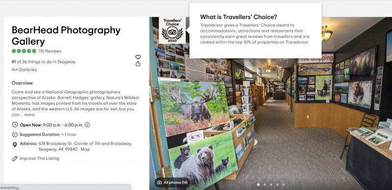 BearHead Photography Blog — BearHead Photography