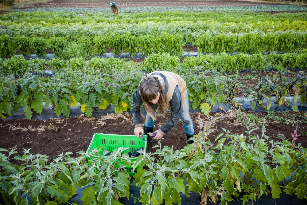 BLOG — Leah Nash Photography