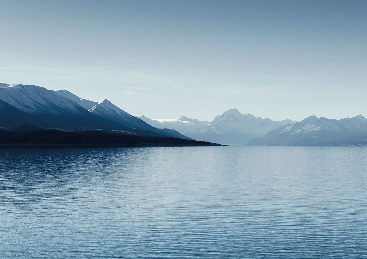 Forsyth Barr — Brand Refresh — Osborne Shiwan