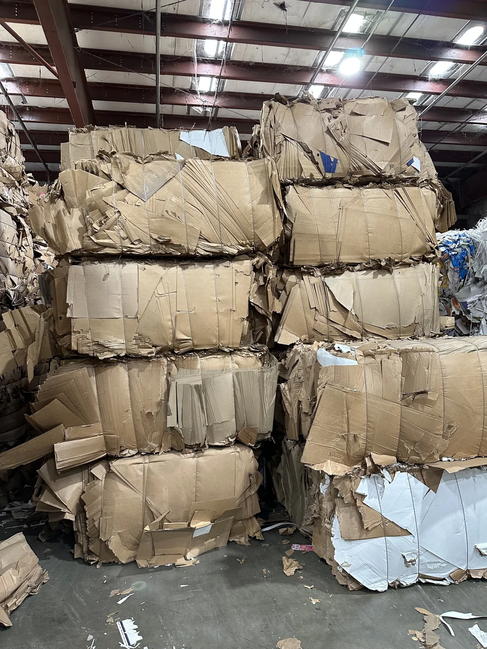 Recovered Fibre — Empire Sons