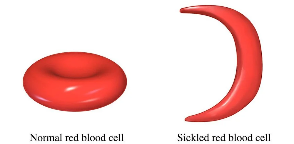 Conquering The Curve, Inc.About SCD