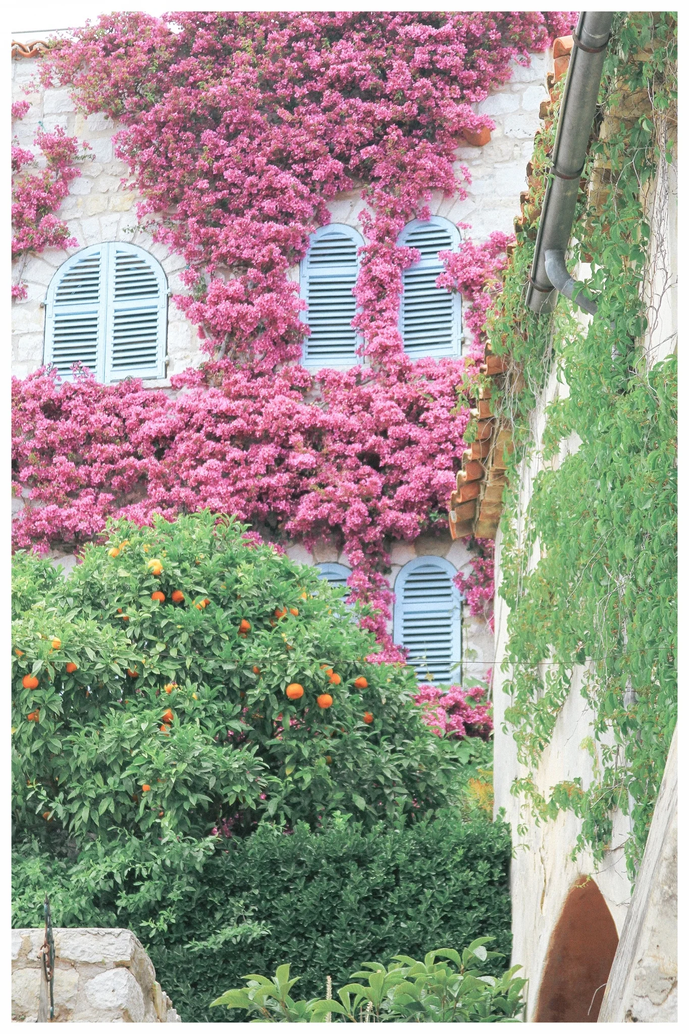 Èze | The Most Charming Hilltop Village on the French Riviera — Monica ...