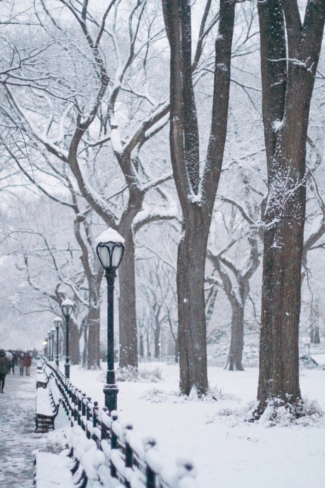 How to Pack a Carry-On Capsule Wardrobe in the Winter — Monica Francis ...