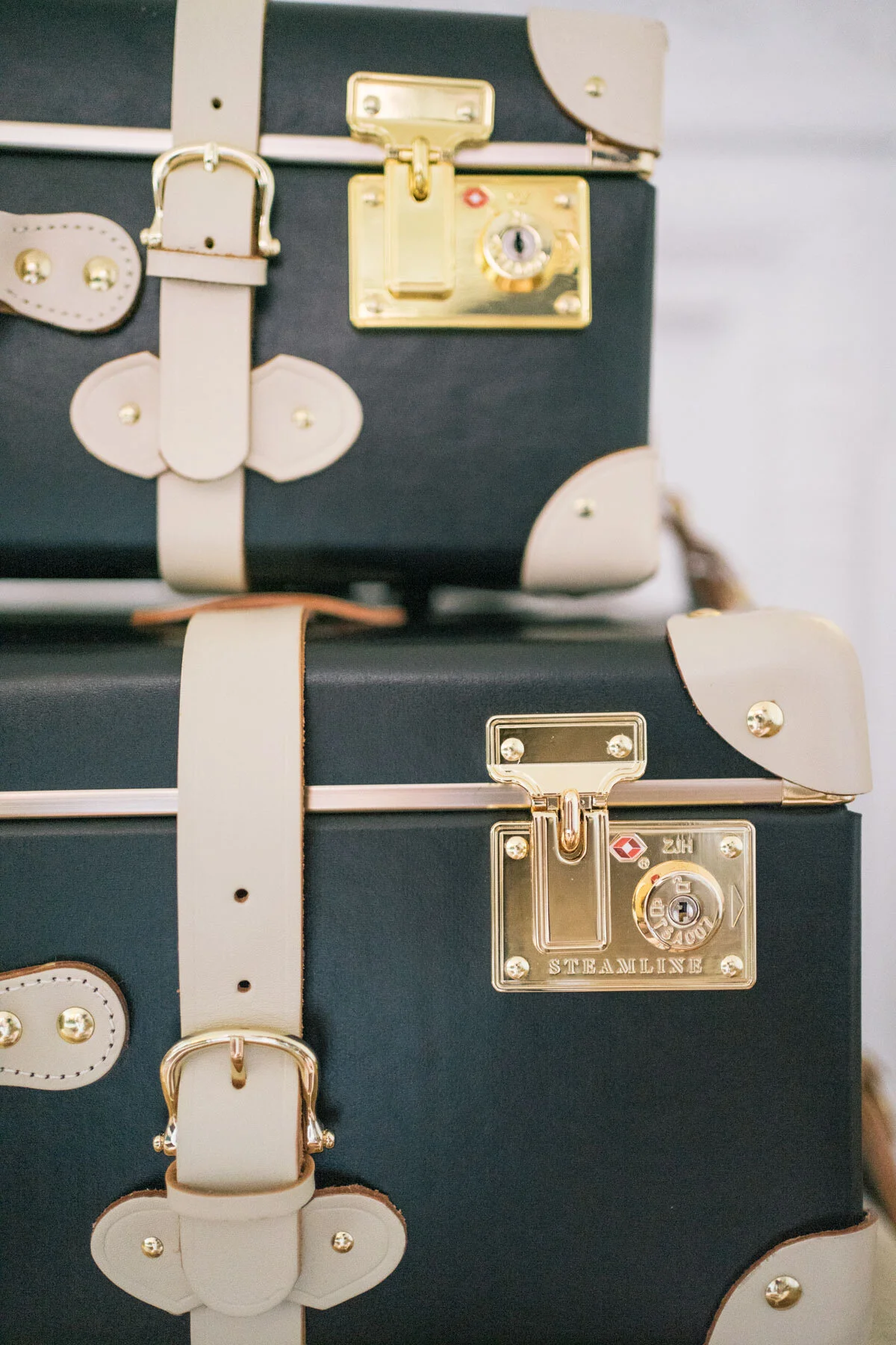 Everything You Need To Know About SteamLine Luggage — Monica Francis ...
