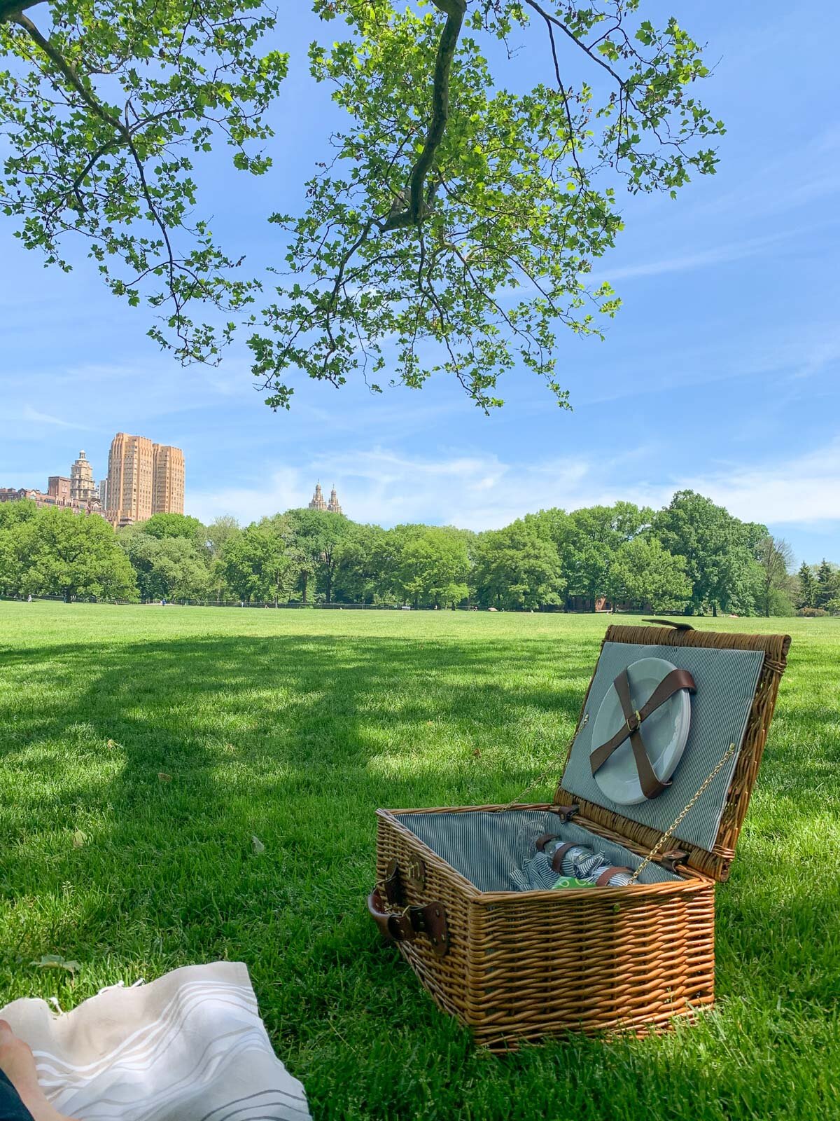 How to Picnic: An Easy & Chic Guide for Anywhere in the World — Monica ...