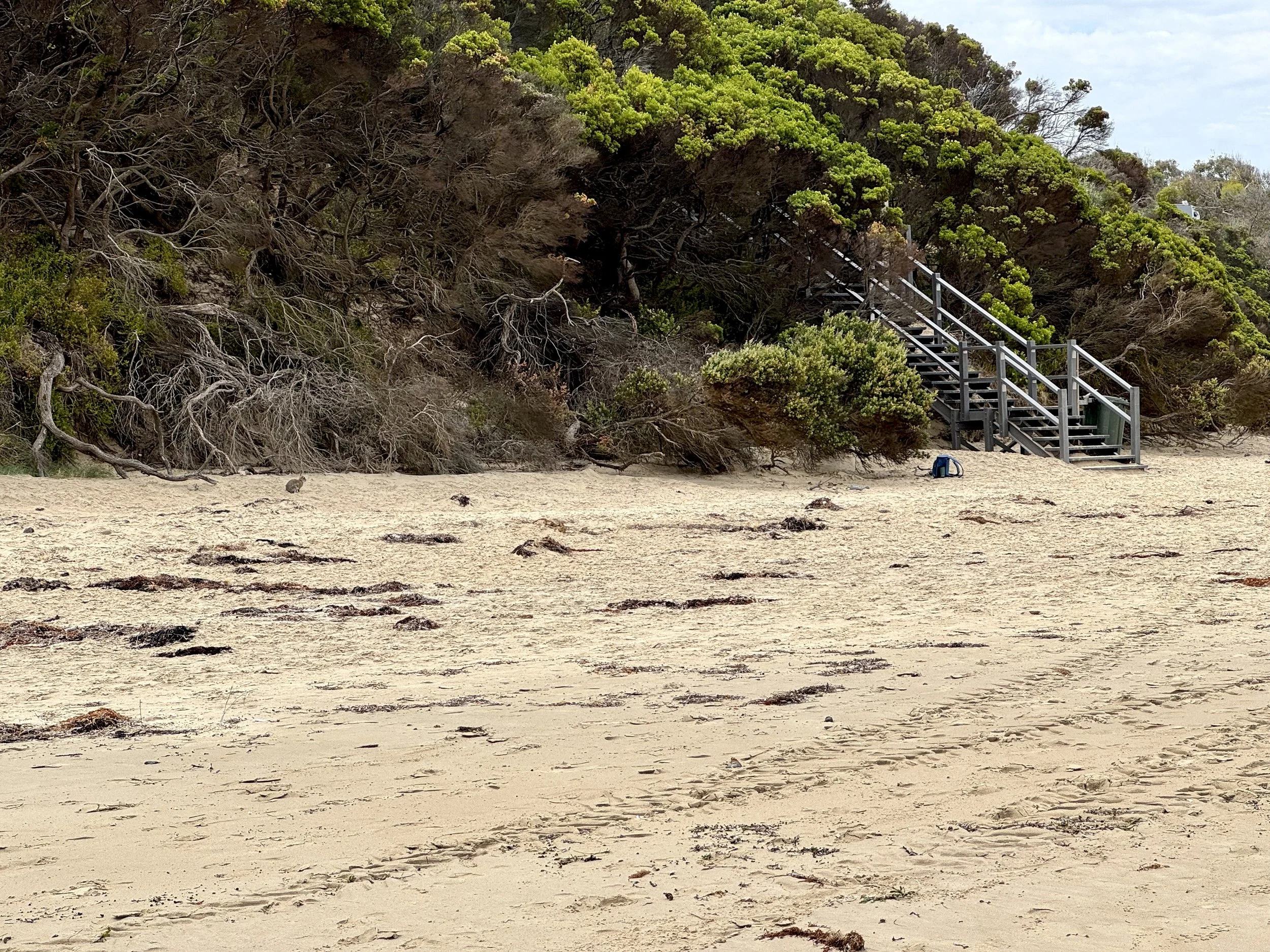 Point Leo Beach — Girt By