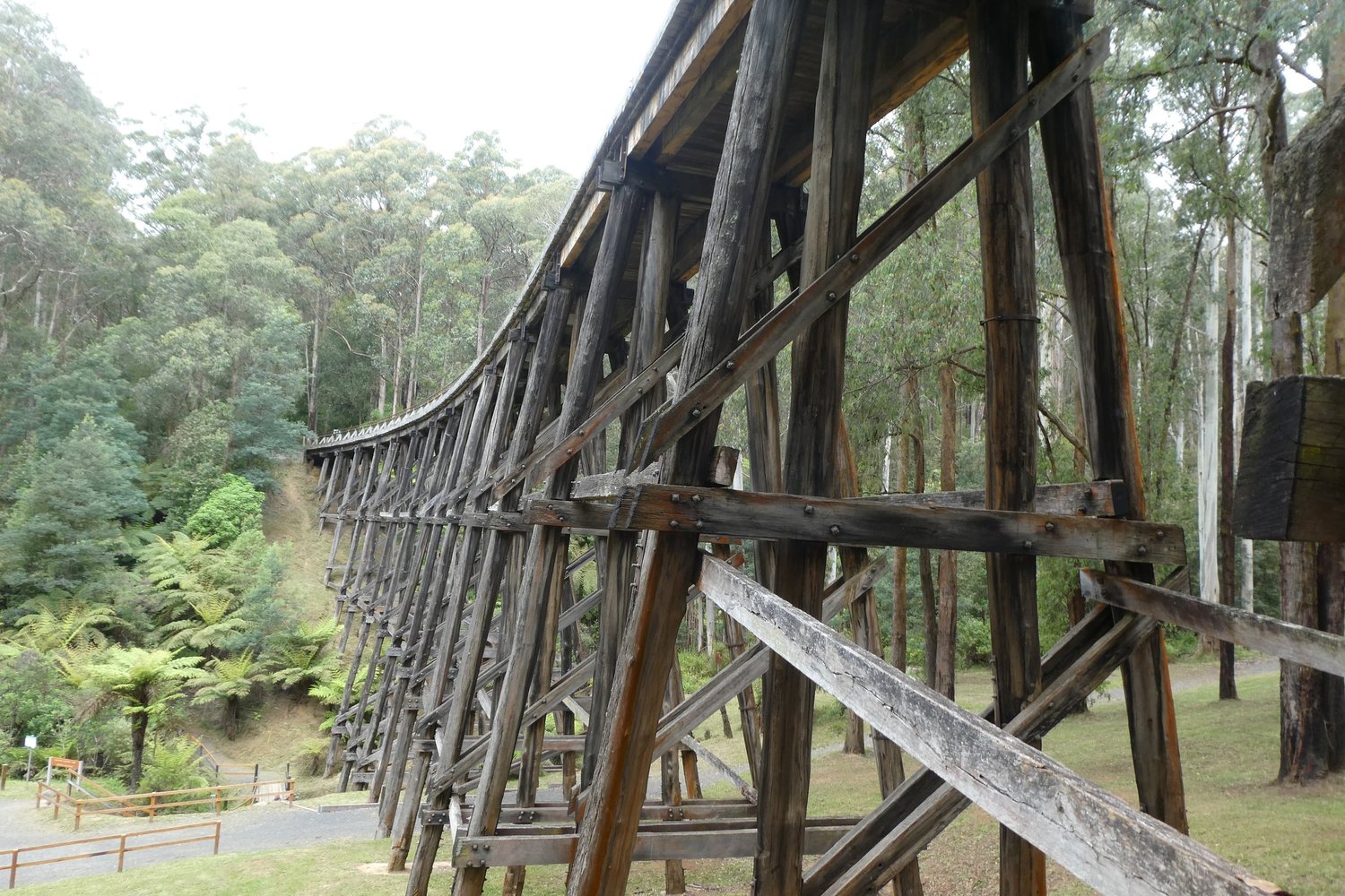 Noojee Trestle Rail Bridge — Girt By