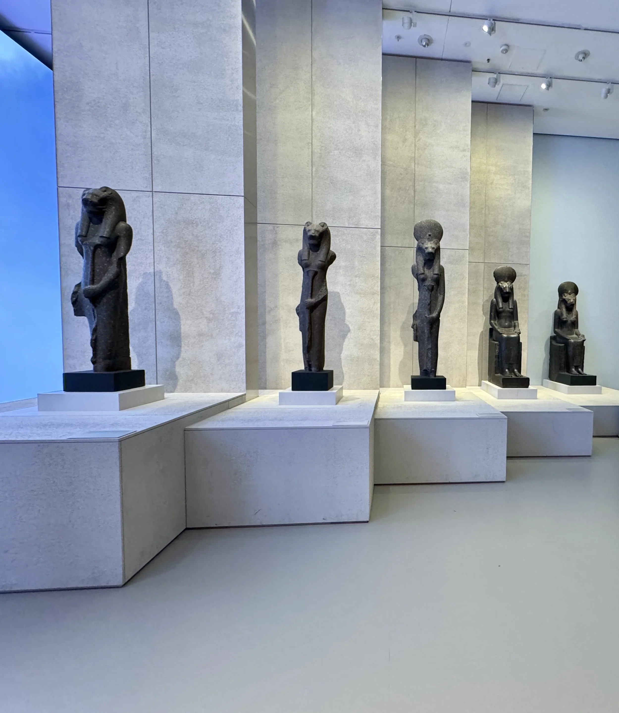 Pharaoh at NGV — Girt By