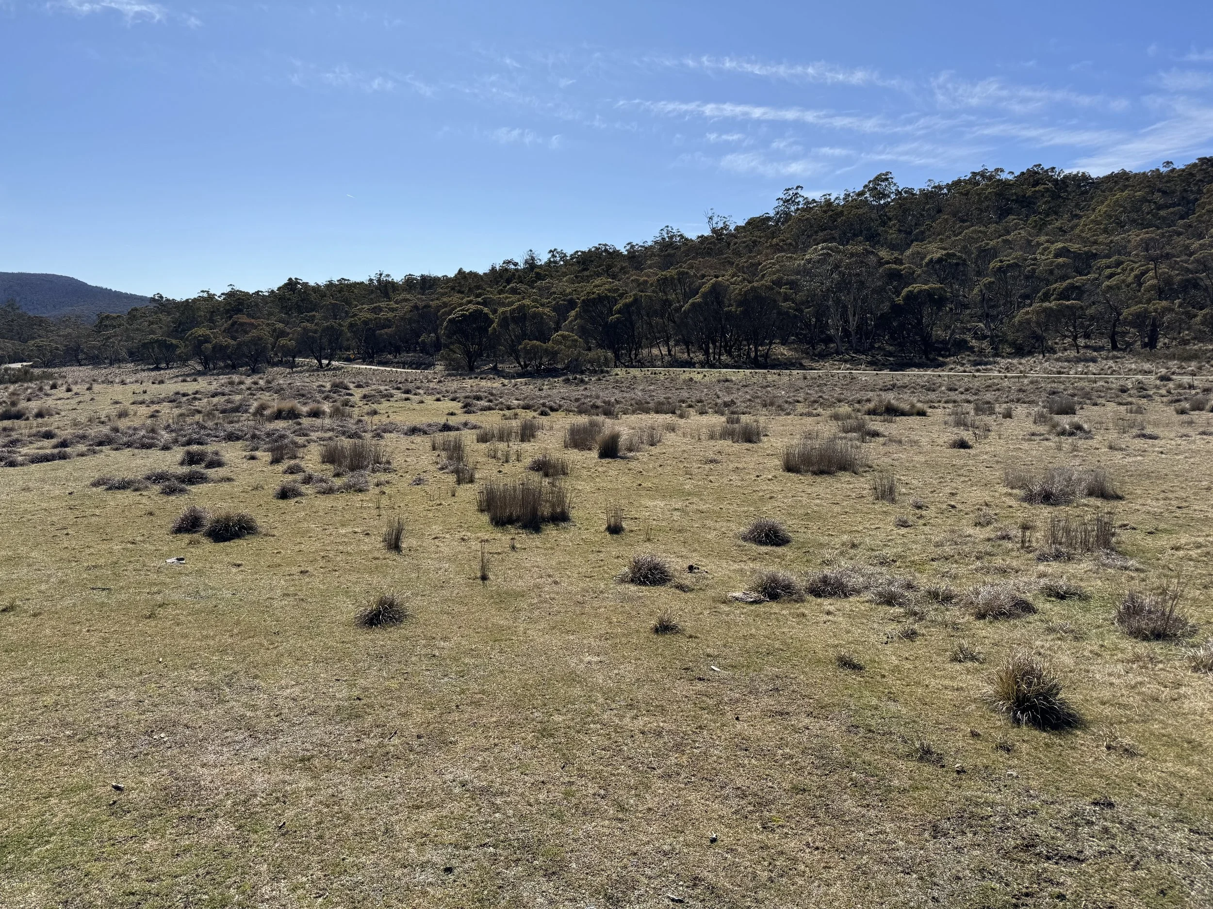 NSW-ACT 2025-09 -2- Brayshaws Hut — Girt By