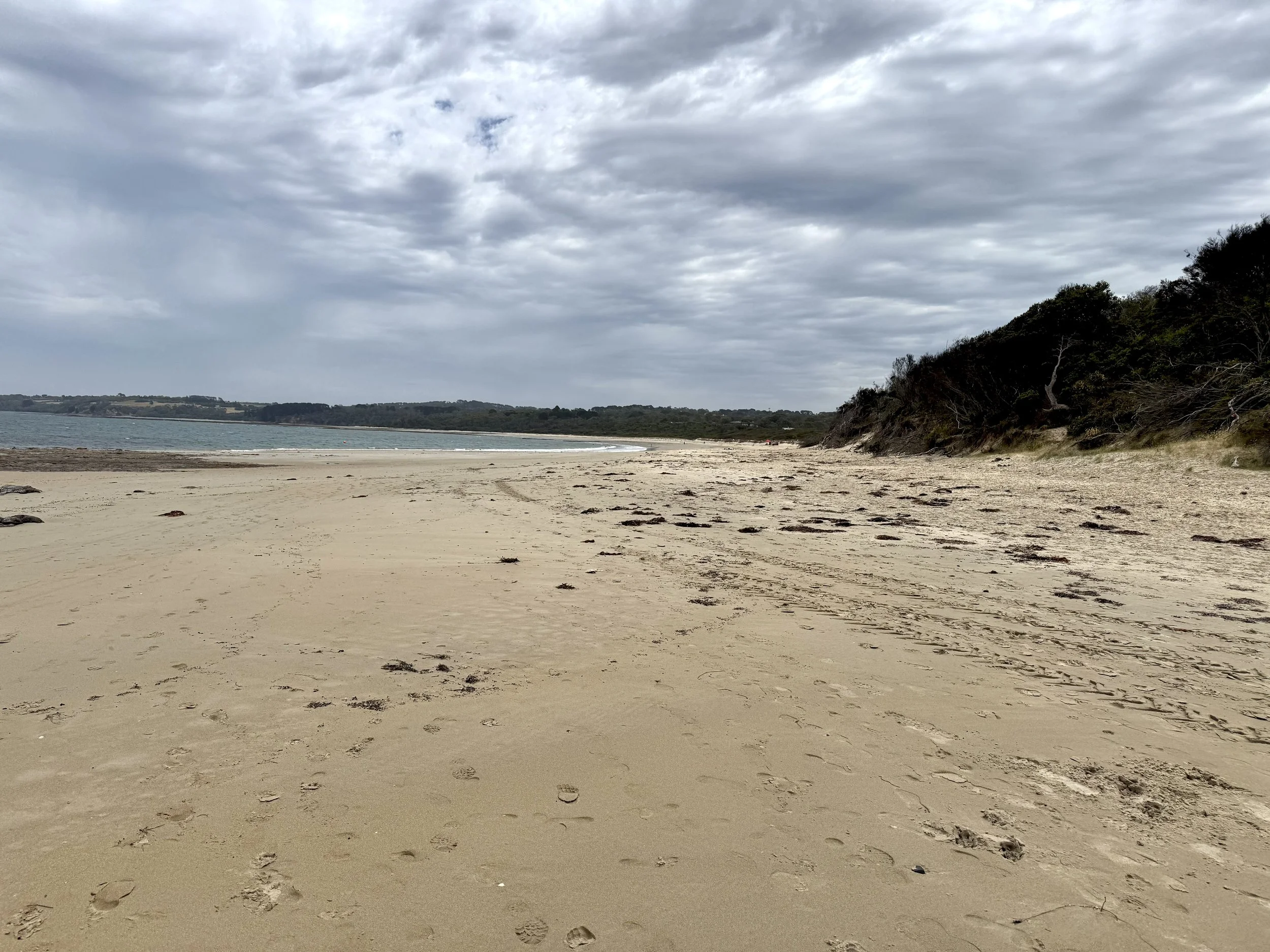 Point Leo Surf Beach — Girt By