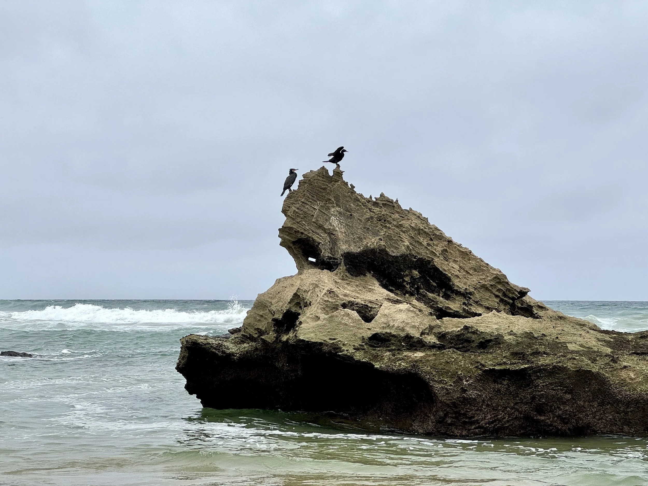 St Andrews Beach — Girt By